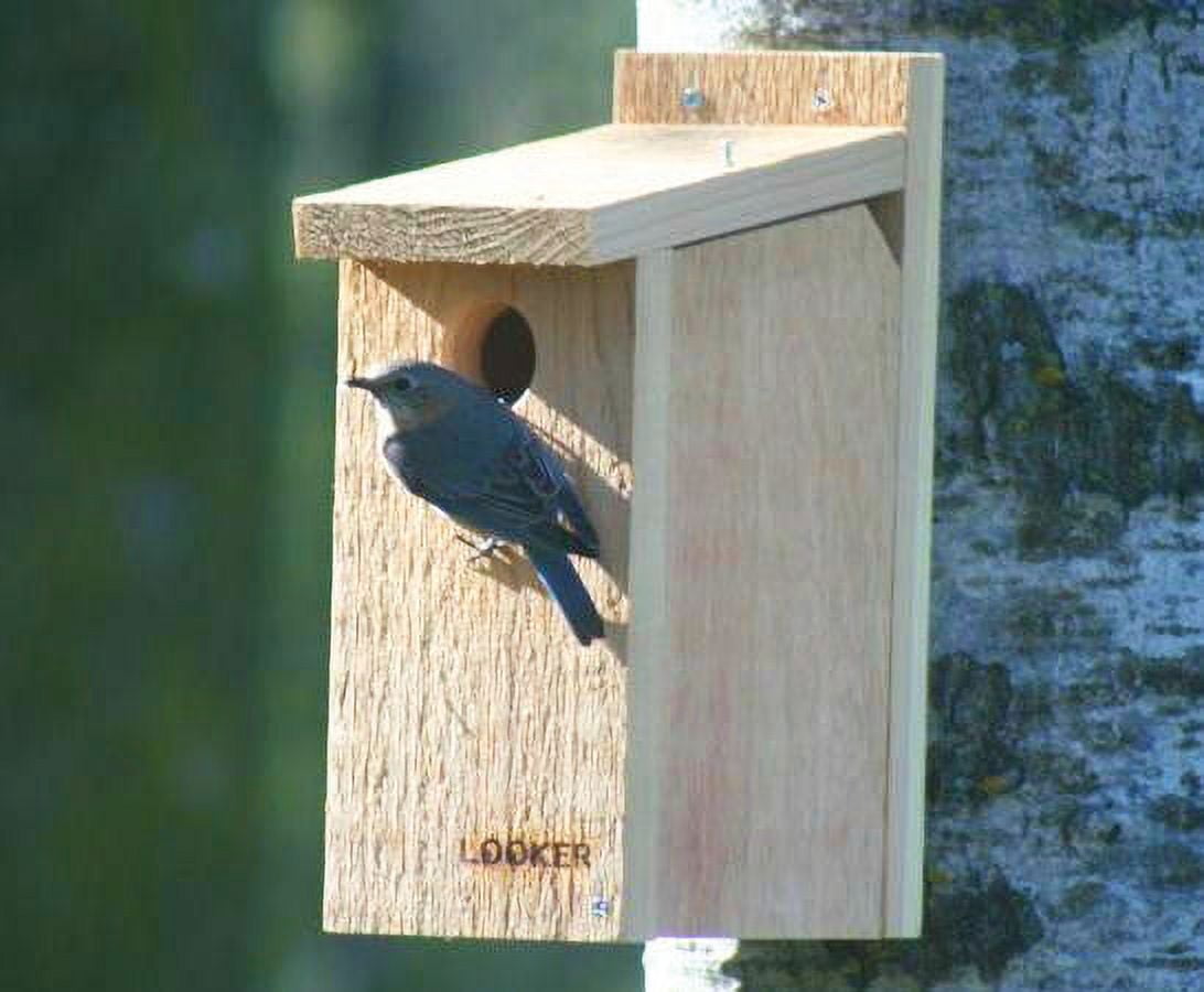 Looker Products View Thru Bluebird House - Walmart.com