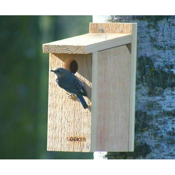 Looker Products View Thru Bluebird House - Walmart.com