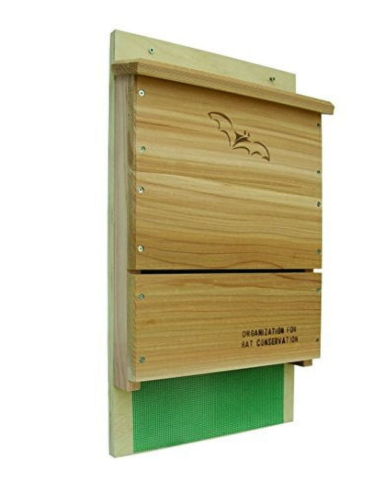 Looker Songbird Essentials Organization for Bat Conservation (OBC ...