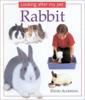 Pre-Owned Looking After My Pet Rabbit (Paperback) 0754810976 ...
