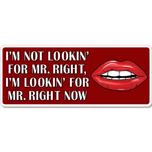 Looking For Mister Right Now Sticker Decal Phone Decal Water Bottle ...
