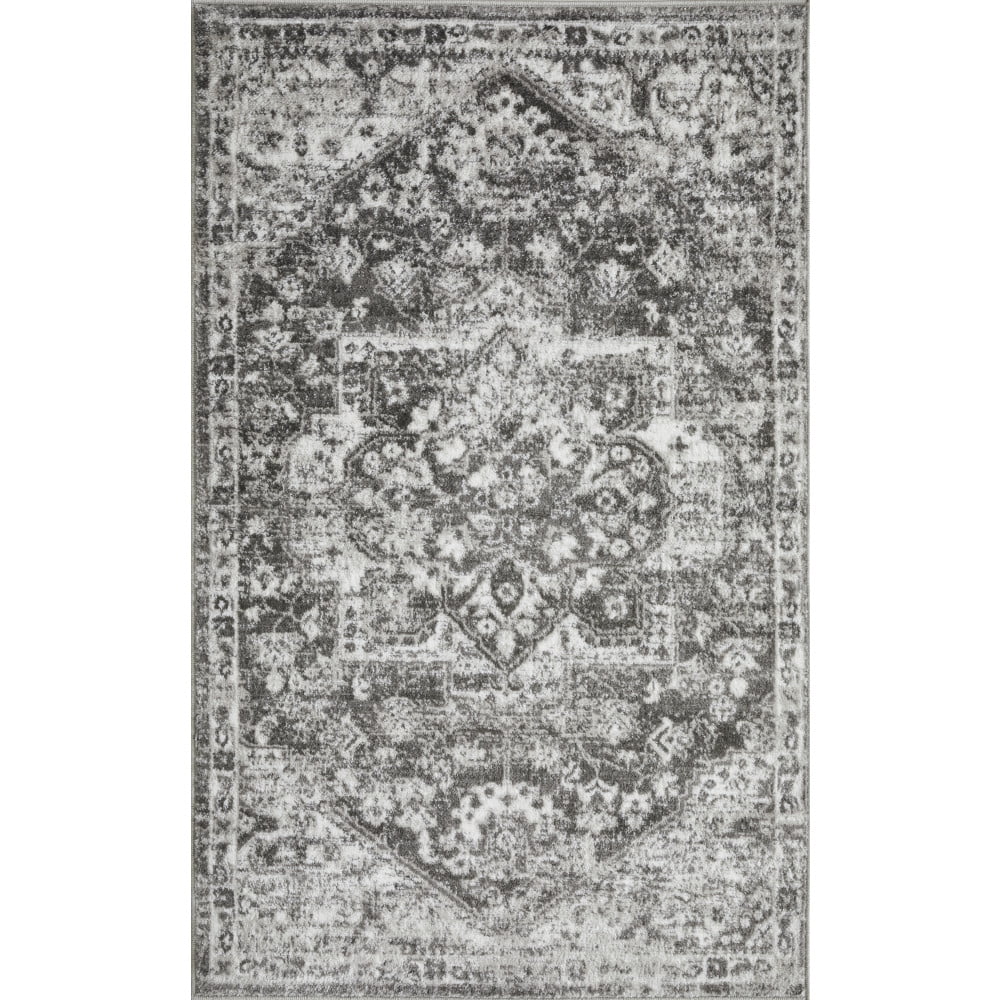 Loomaknoti Rhane Alemern 3' x 5' Gray Oriental Indoor Accent Rug ...