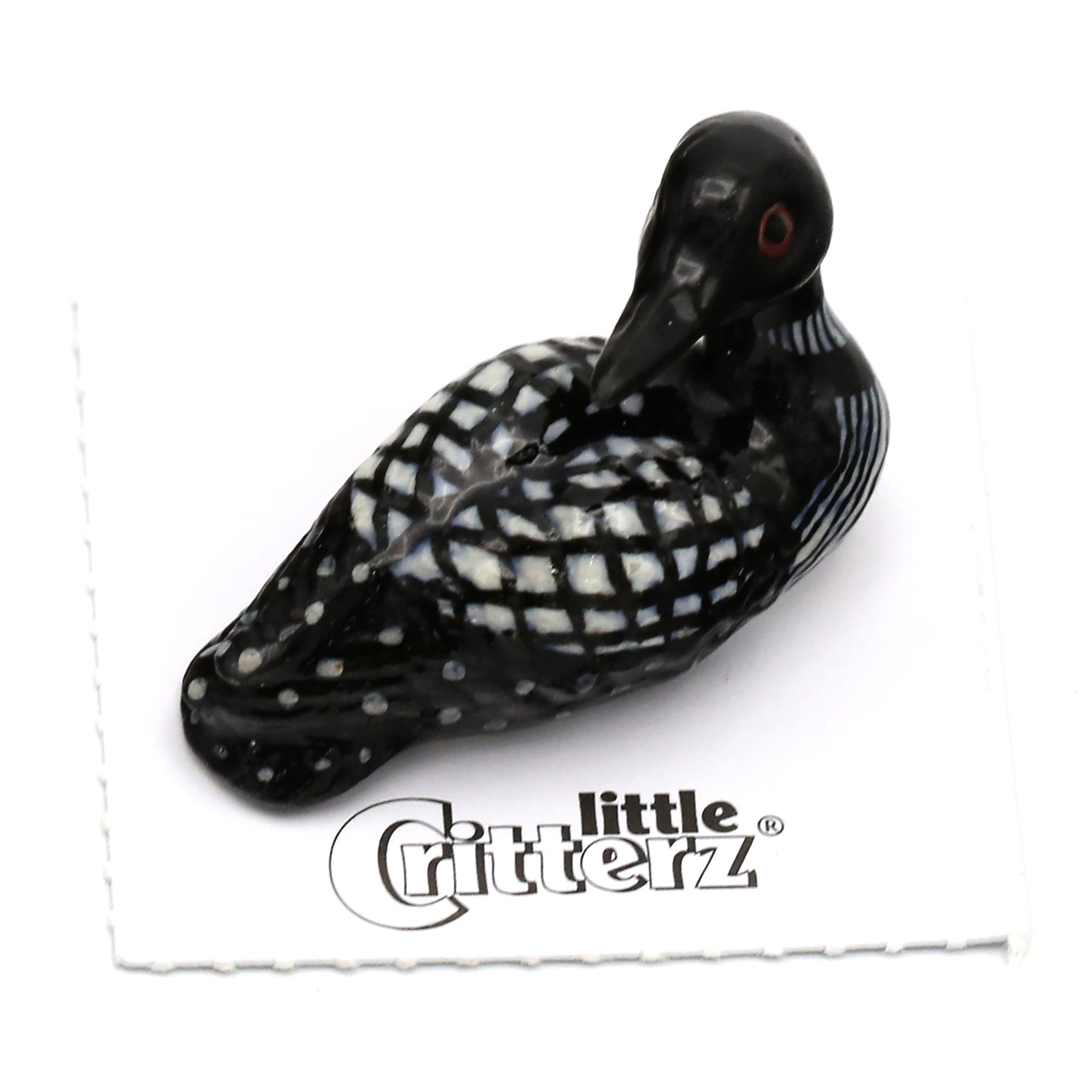Little Critterz Loon "Gavia" Collectible - Hand-painted Home Decor Bird ...