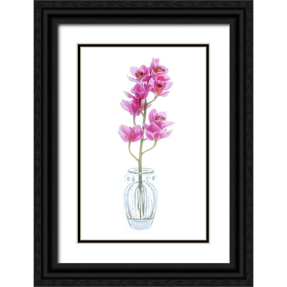 Looney, Hollice 10x14 Black Ornate Wood Framed with Double Matting ...