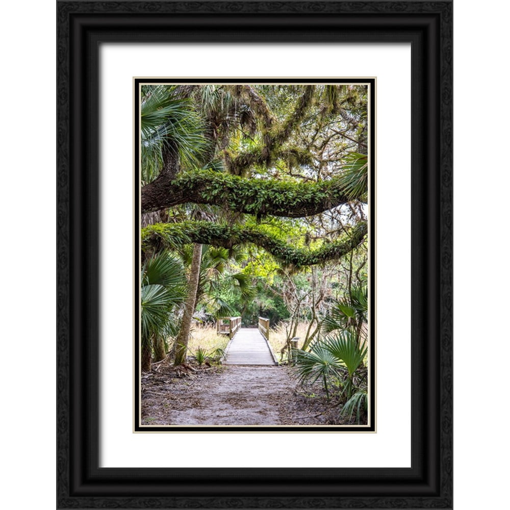 Looney, Hollice 11x14 Black Ornate Wood Framed with Double Matting ...