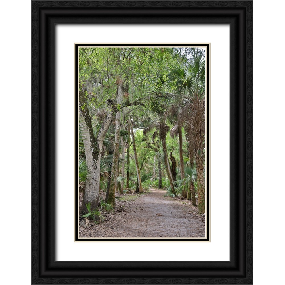 Looney, Hollice 11x14 Black Ornate Wood Framed with Double Matting ...