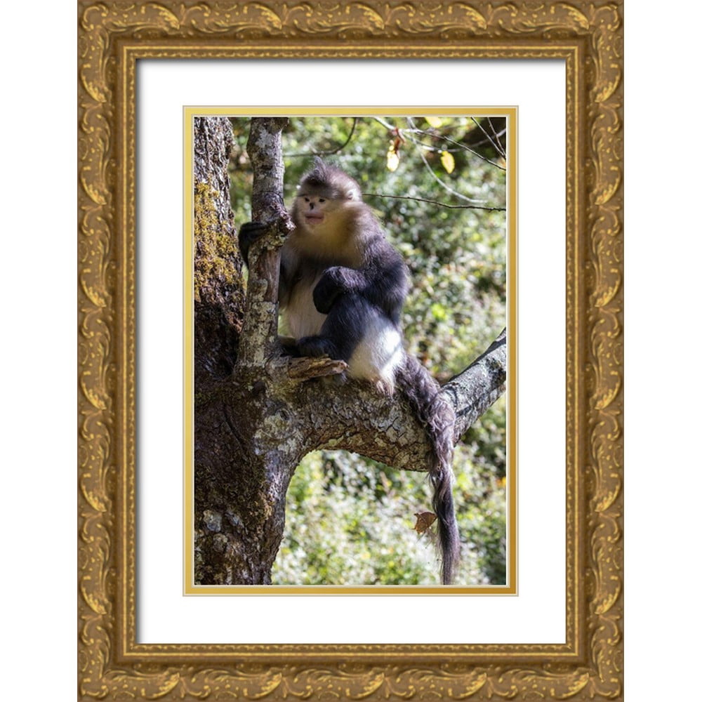 Looney, Hollice 11x14 Gold Ornate Wood Framed with Double Matting ...