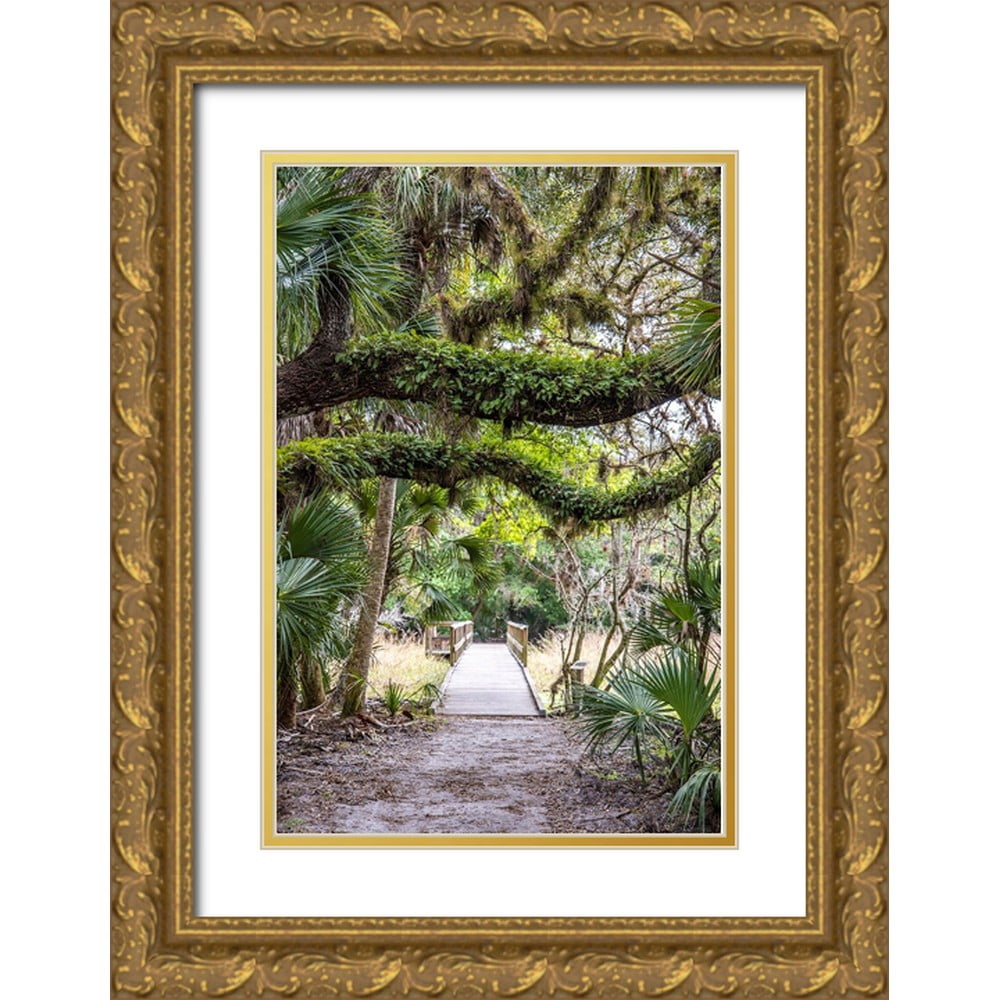 Looney, Hollice 11x14 Gold Ornate Wood Framed with Double Matting ...