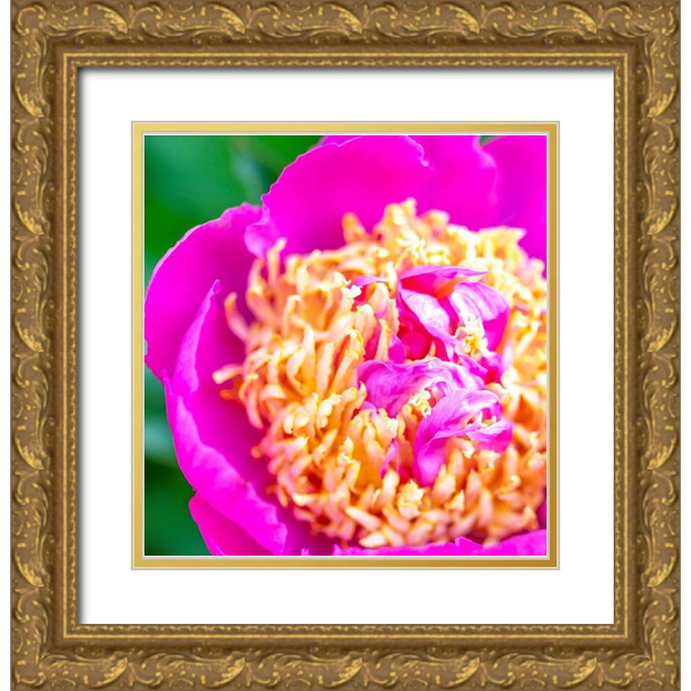 Looney, Hollice 12x12 Gold Ornate Wood Framed with Double Matting ...