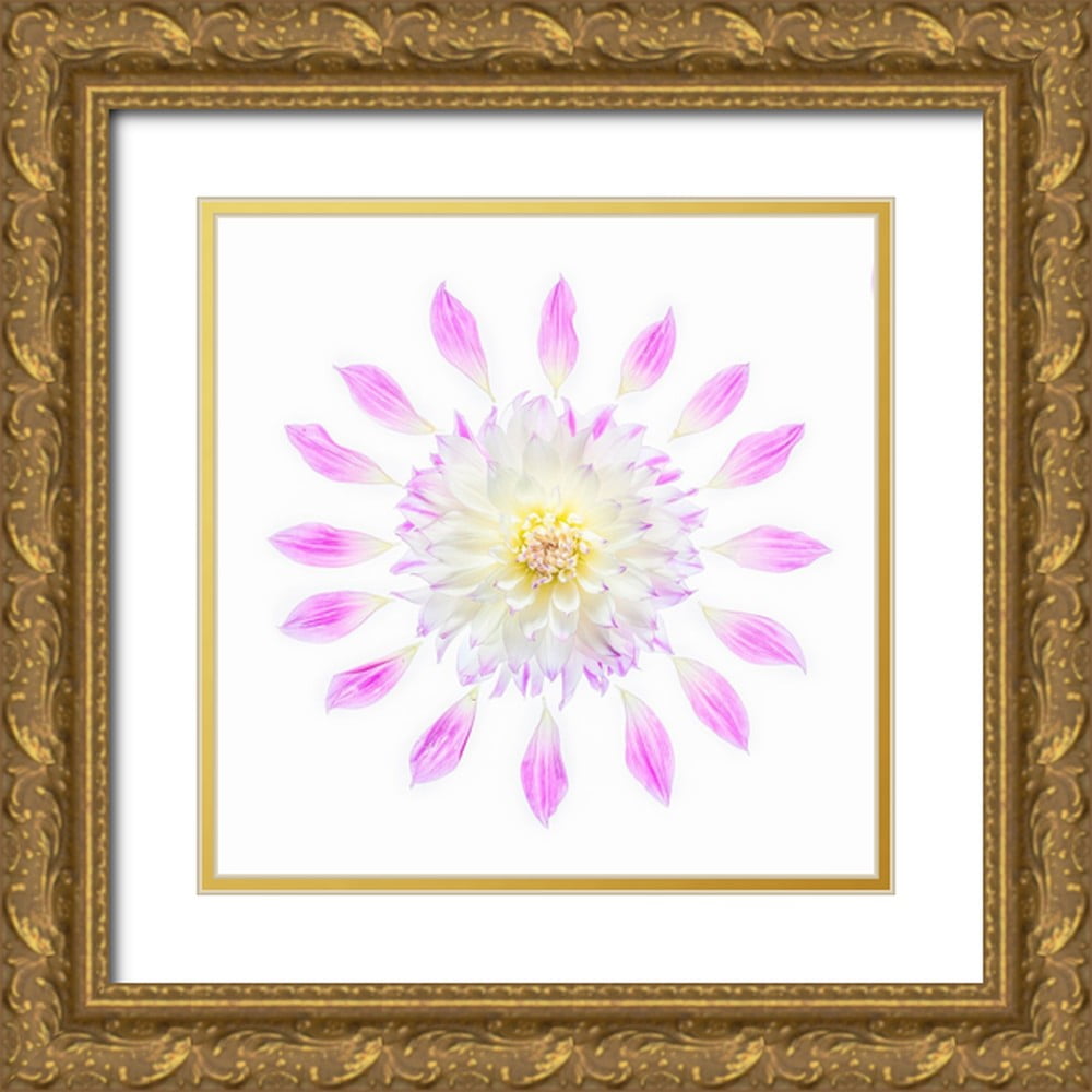 Looney, Hollice 12x12 Gold Ornate Wood Framed with Double Matting ...