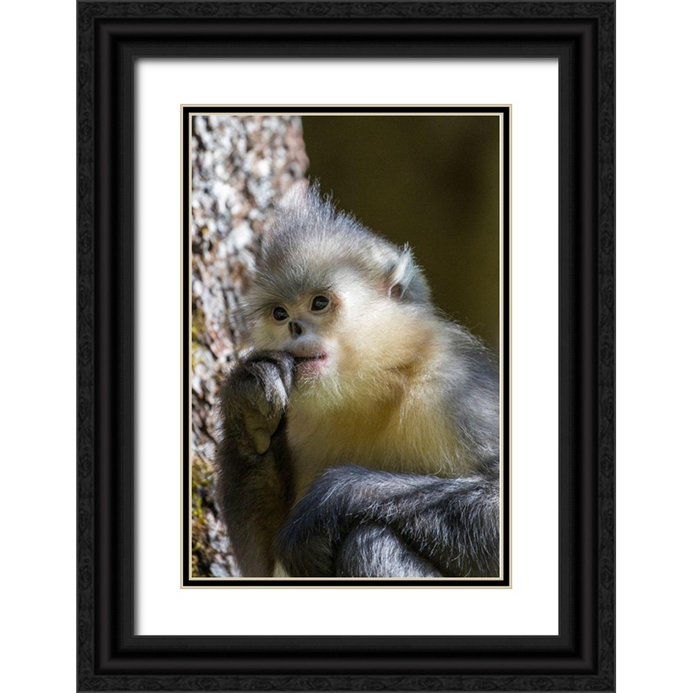 Looney, Hollice 13x18 Black Ornate Wood Framed with Double Matting ...