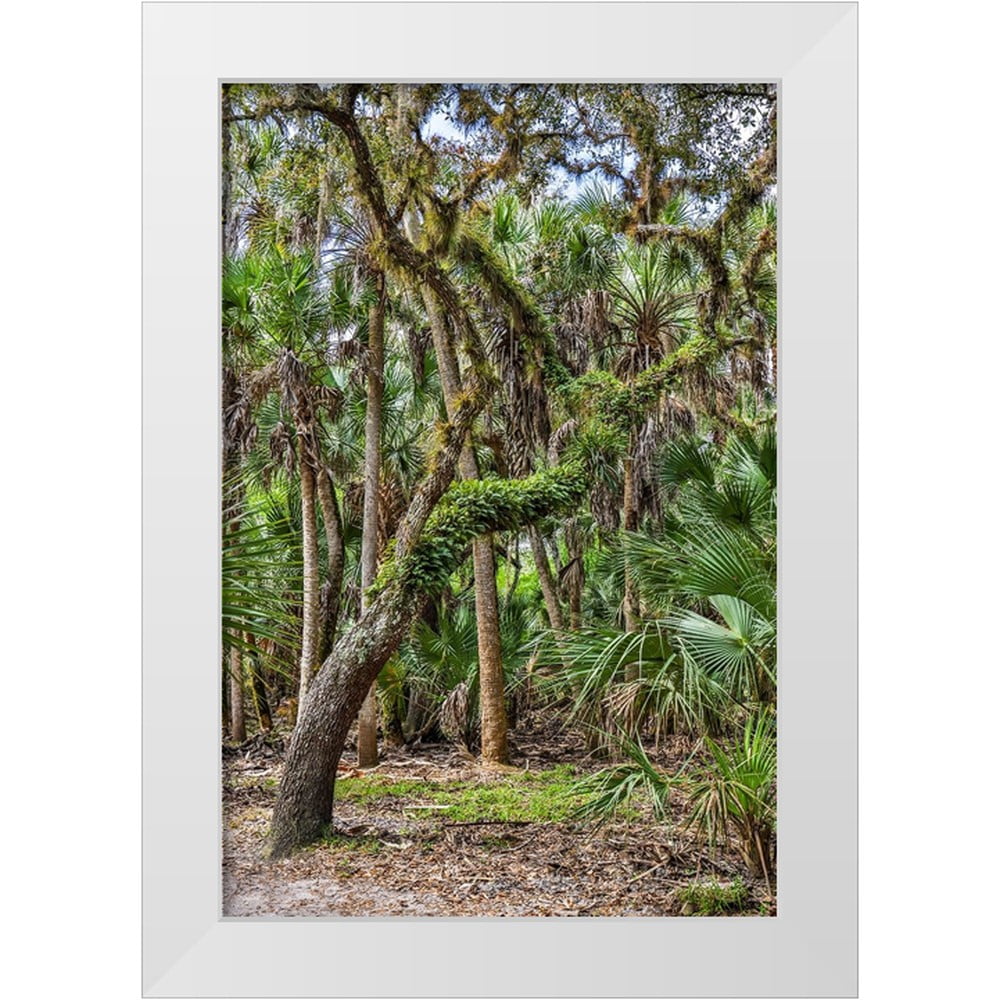 Looney, Hollice 13x18 White Modern Wood Framed Museum Art Print Titled ...