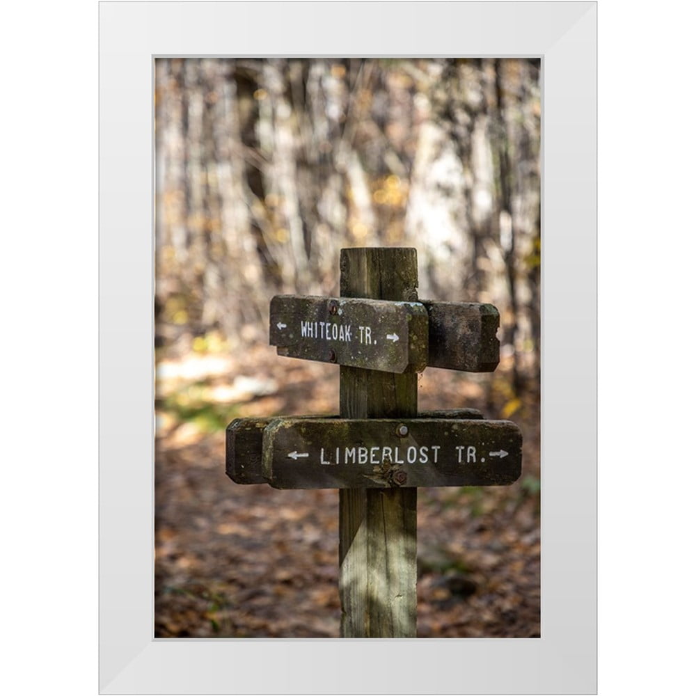 Looney, Hollice 13x18 White Modern Wood Framed Museum Art Print Titled ...