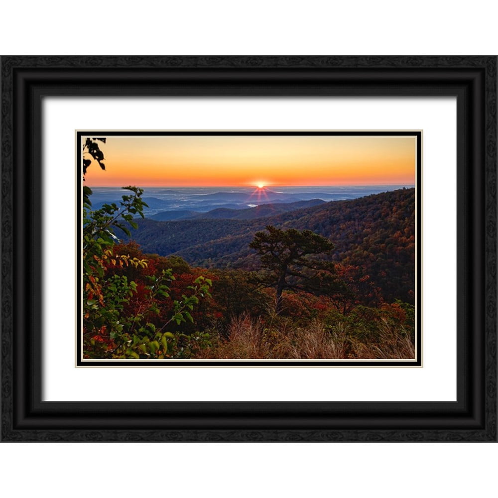 Looney, Hollice 14x11 Black Ornate Wood Framed with Double Matting ...