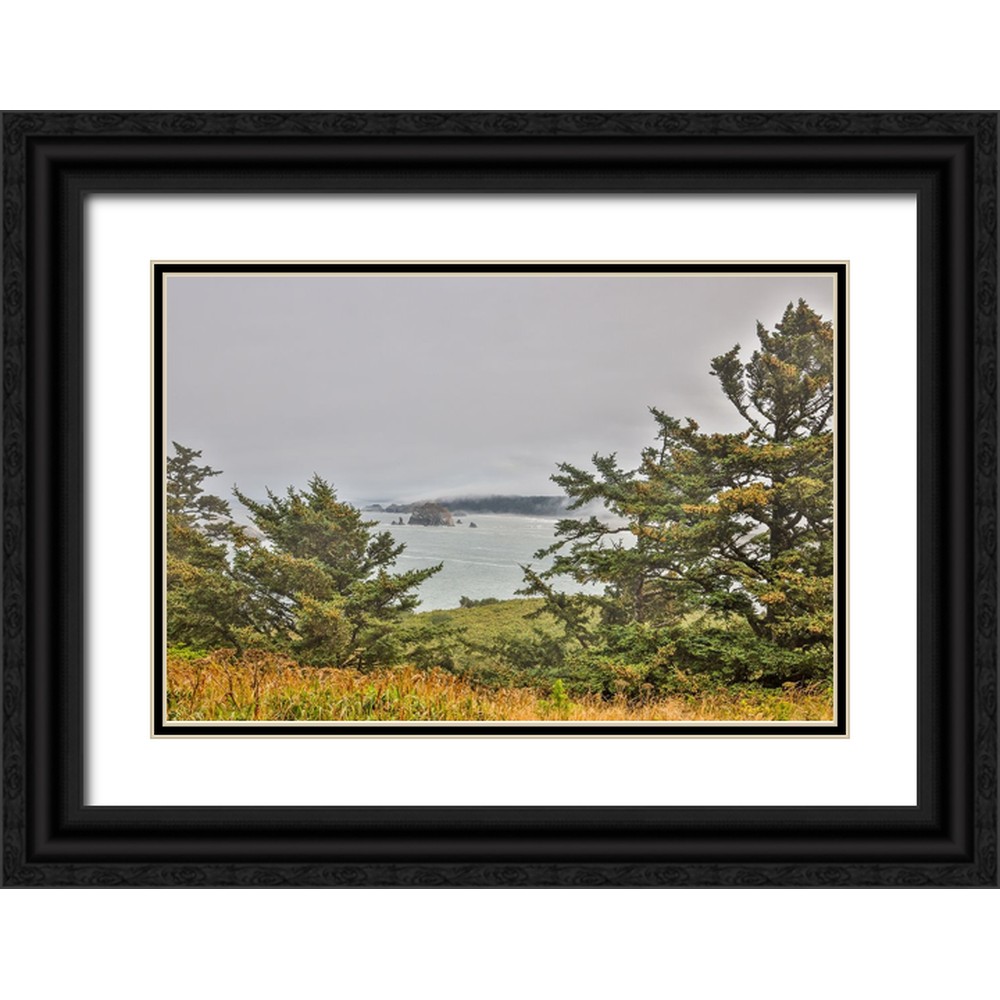 Looney, Hollice 14x11 Black Ornate Wood Framed with Double Matting ...