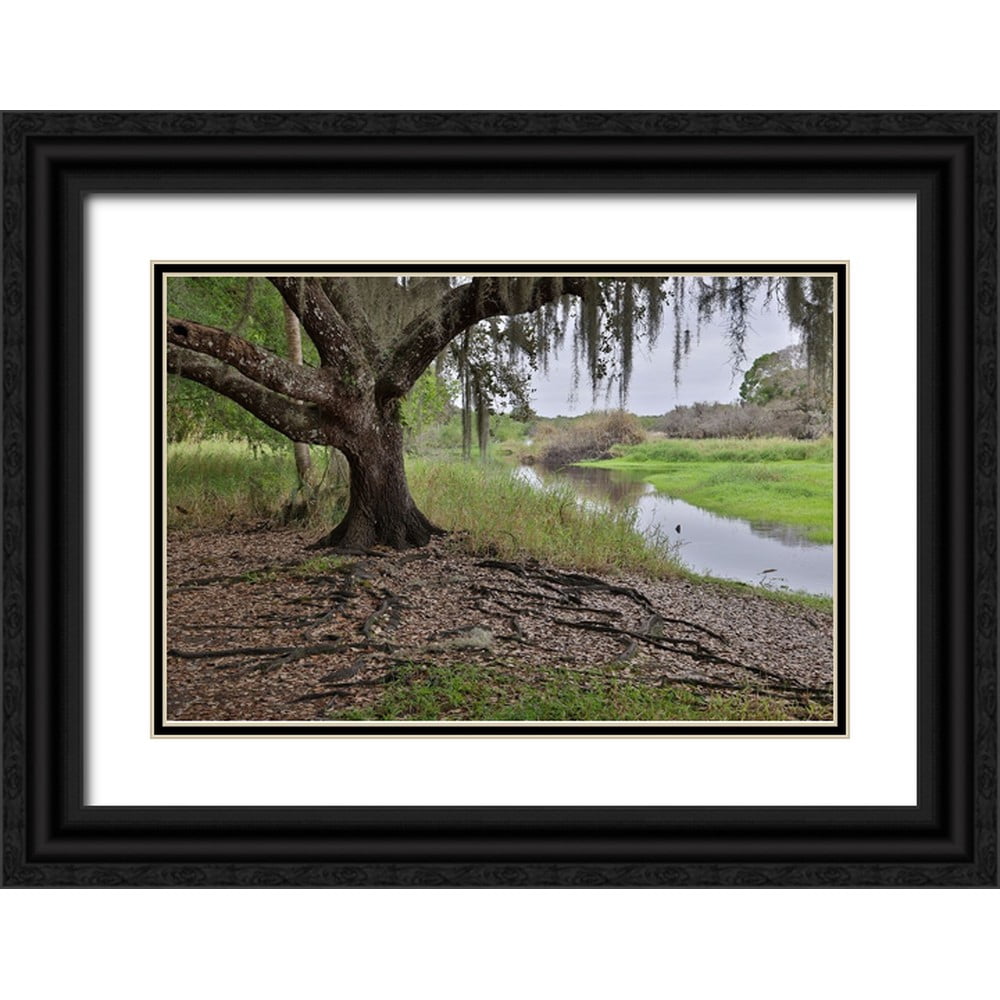 Looney, Hollice 14x11 Black Ornate Wood Framed with Double Matting ...