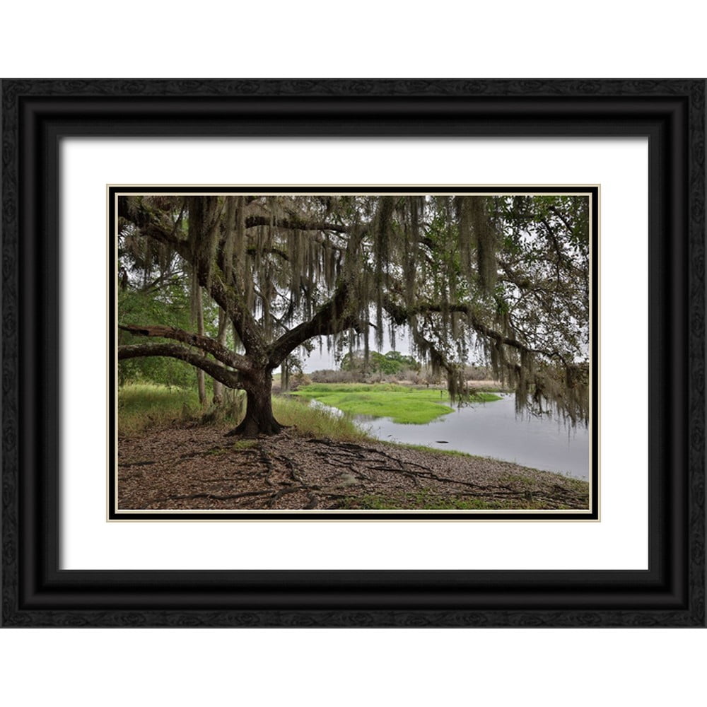 Looney, Hollice 14x11 Black Ornate Wood Framed with Double Matting ...
