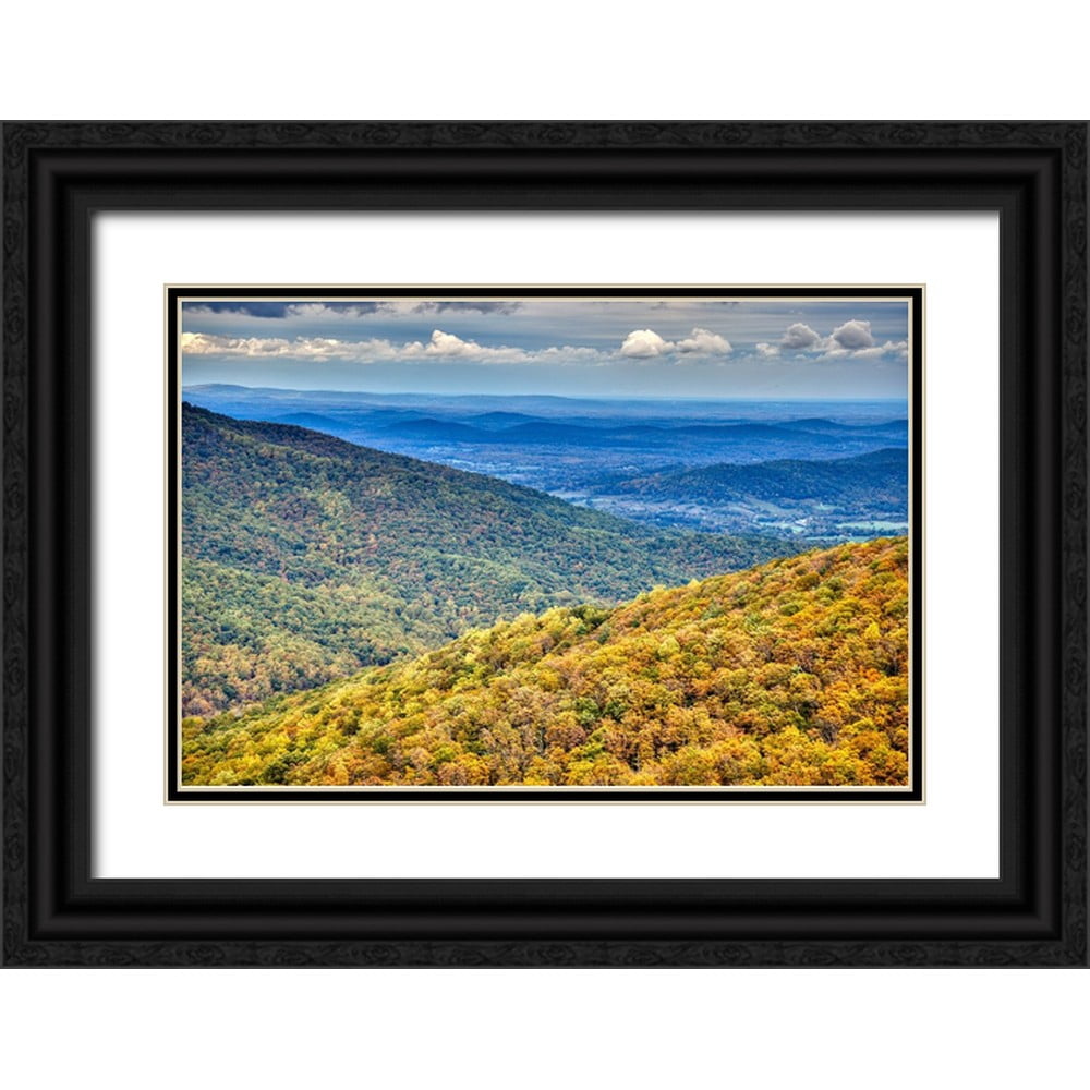 Looney, Hollice 14x11 Black Ornate Wood Framed with Double Matting ...