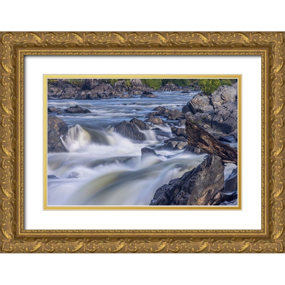 Looney, Hollice 14x11 Gold Ornate Wood Framed with Double Matting ...