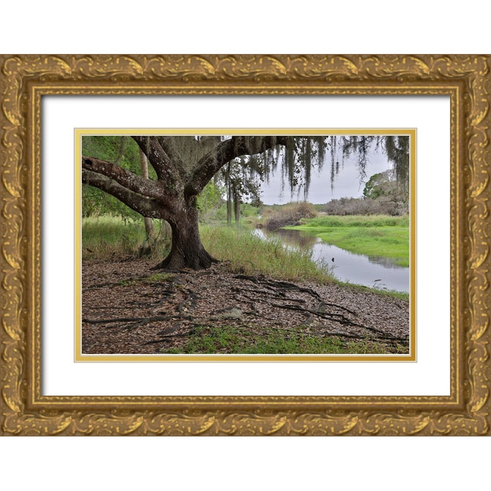 Looney, Hollice 14x11 Gold Ornate Wood Framed with Double Matting ...