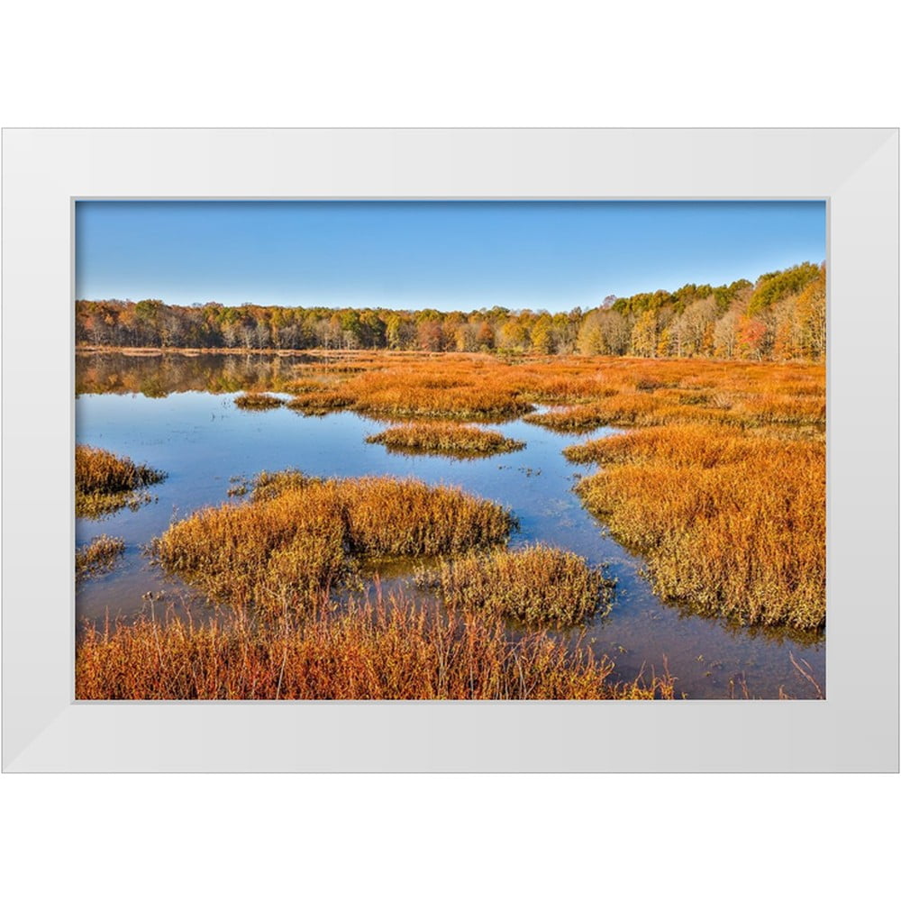 Looney, Hollice 14x11 White Modern Wood Framed Museum Art Print Titled ...