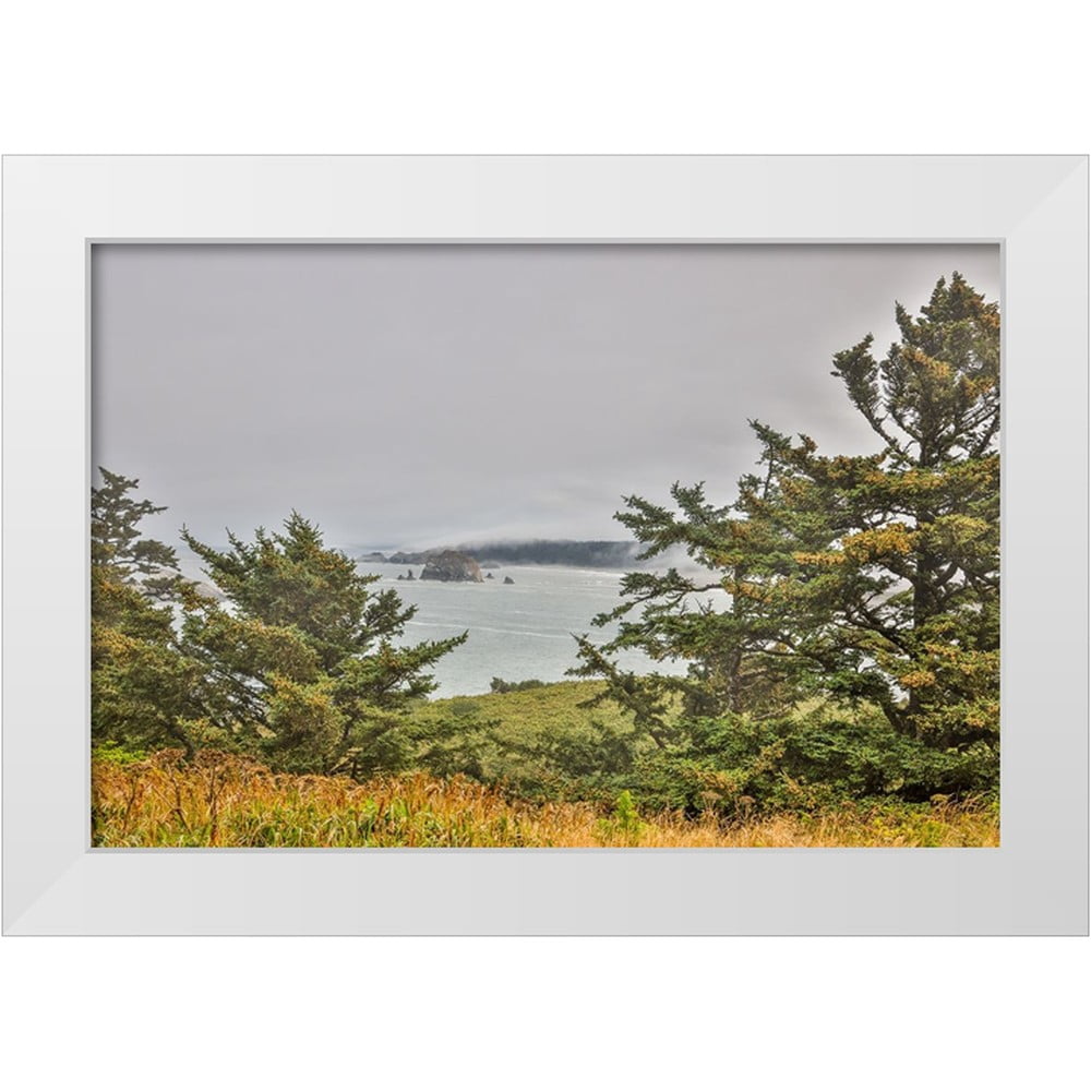 Looney, Hollice 14x11 White Modern Wood Framed Museum Art Print Titled ...
