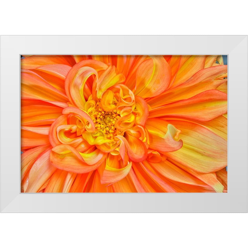 Looney, Hollice 14x11 White Modern Wood Framed Museum Art Print Titled ...