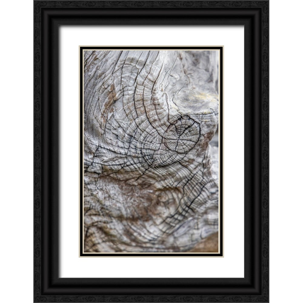 Looney, Hollice 17x24 Black Ornate Wood Framed with Double Matting ...