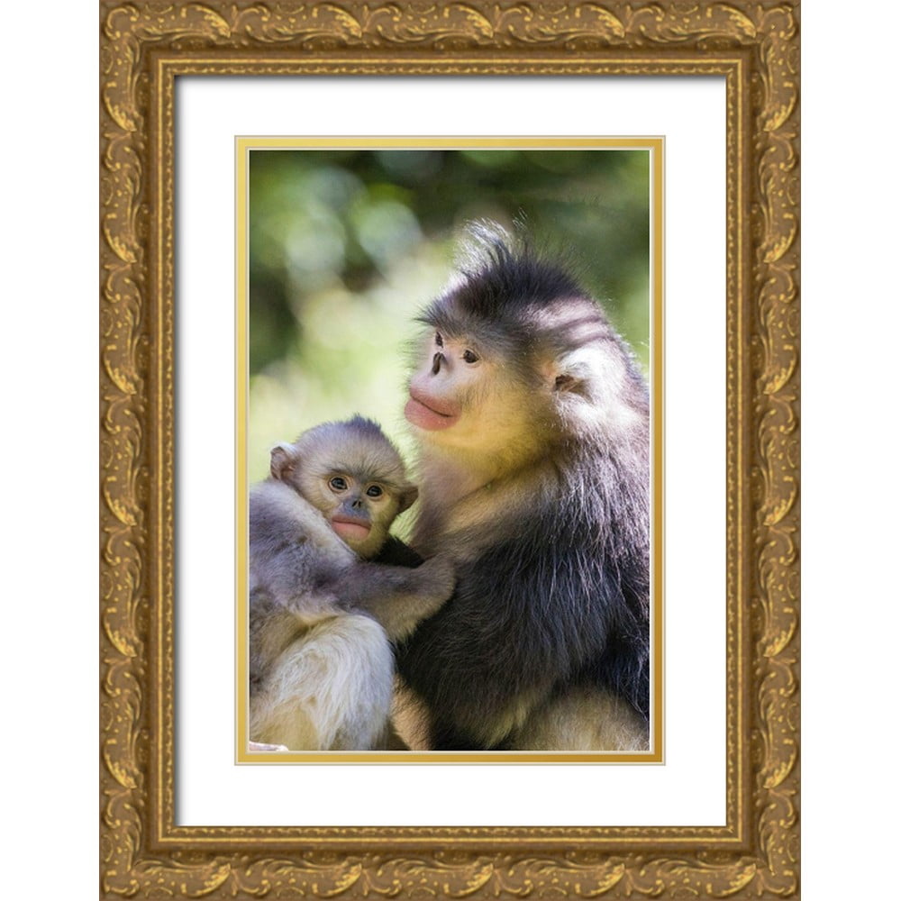 Looney, Hollice 17x24 Gold Ornate Wood Framed with Double Matting ...