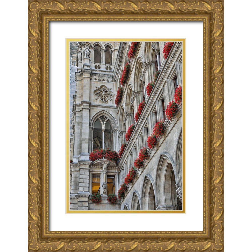 Looney, Hollice 17x24 Gold Ornate Wood Framed with Double Matting ...