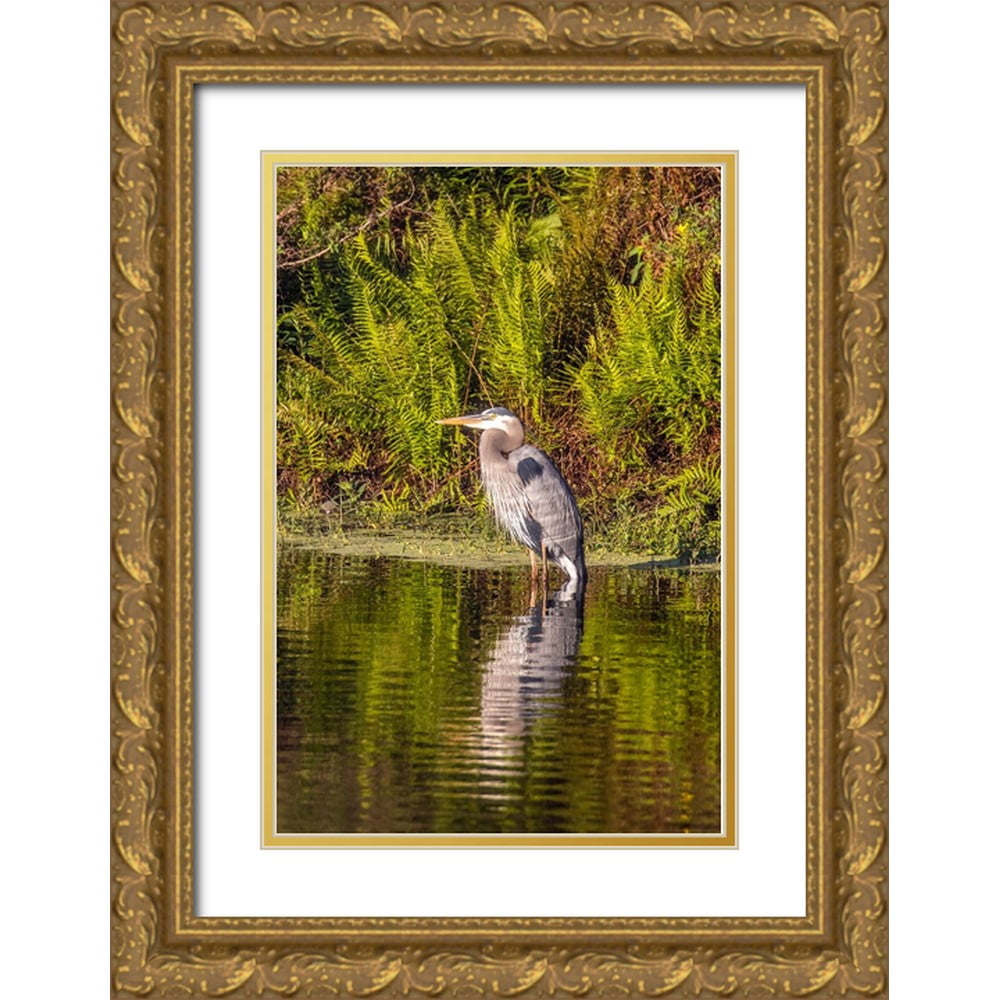 Looney, Hollice 17x24 Gold Ornate Wood Framed with Double Matting ...