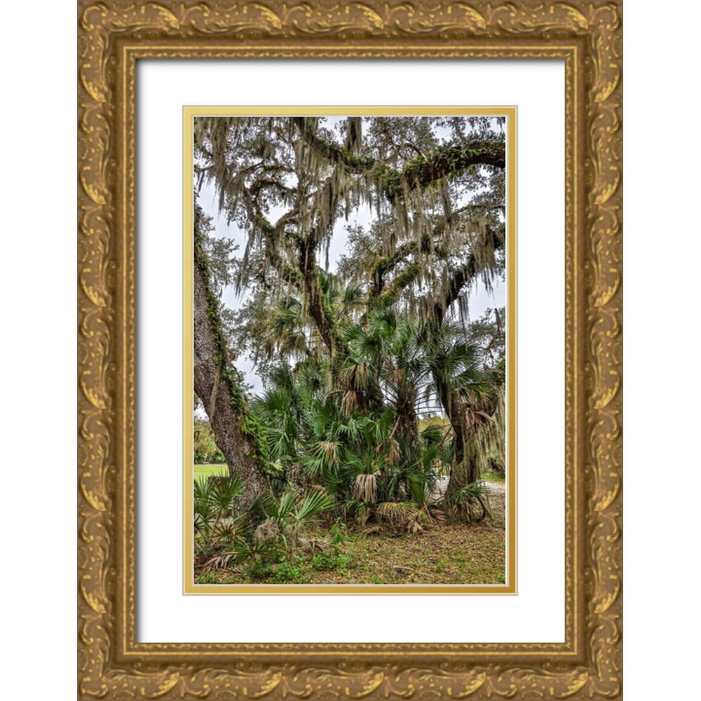 Looney, Hollice 17x24 Gold Ornate Wood Framed with Double Matting ...