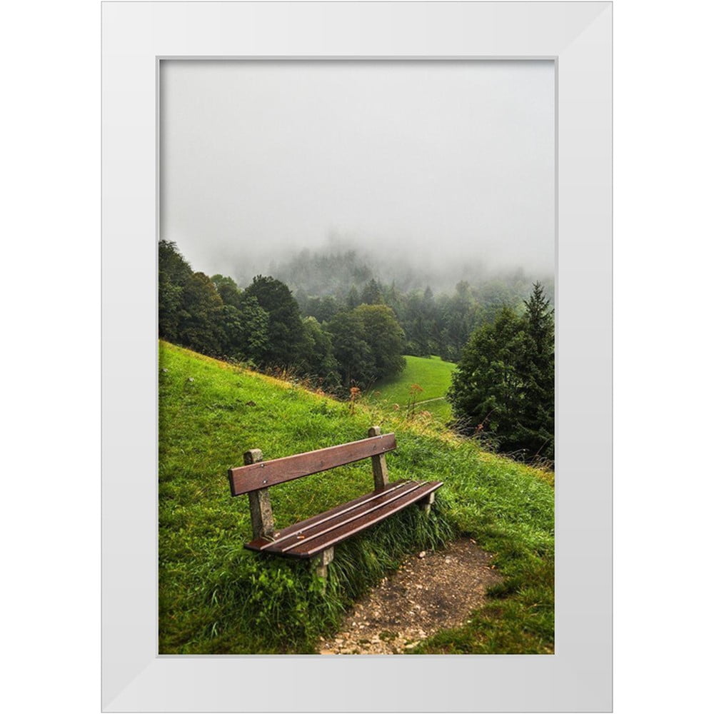 Looney, Hollice 17x24 White Modern Wood Framed Museum Art Print Titled ...