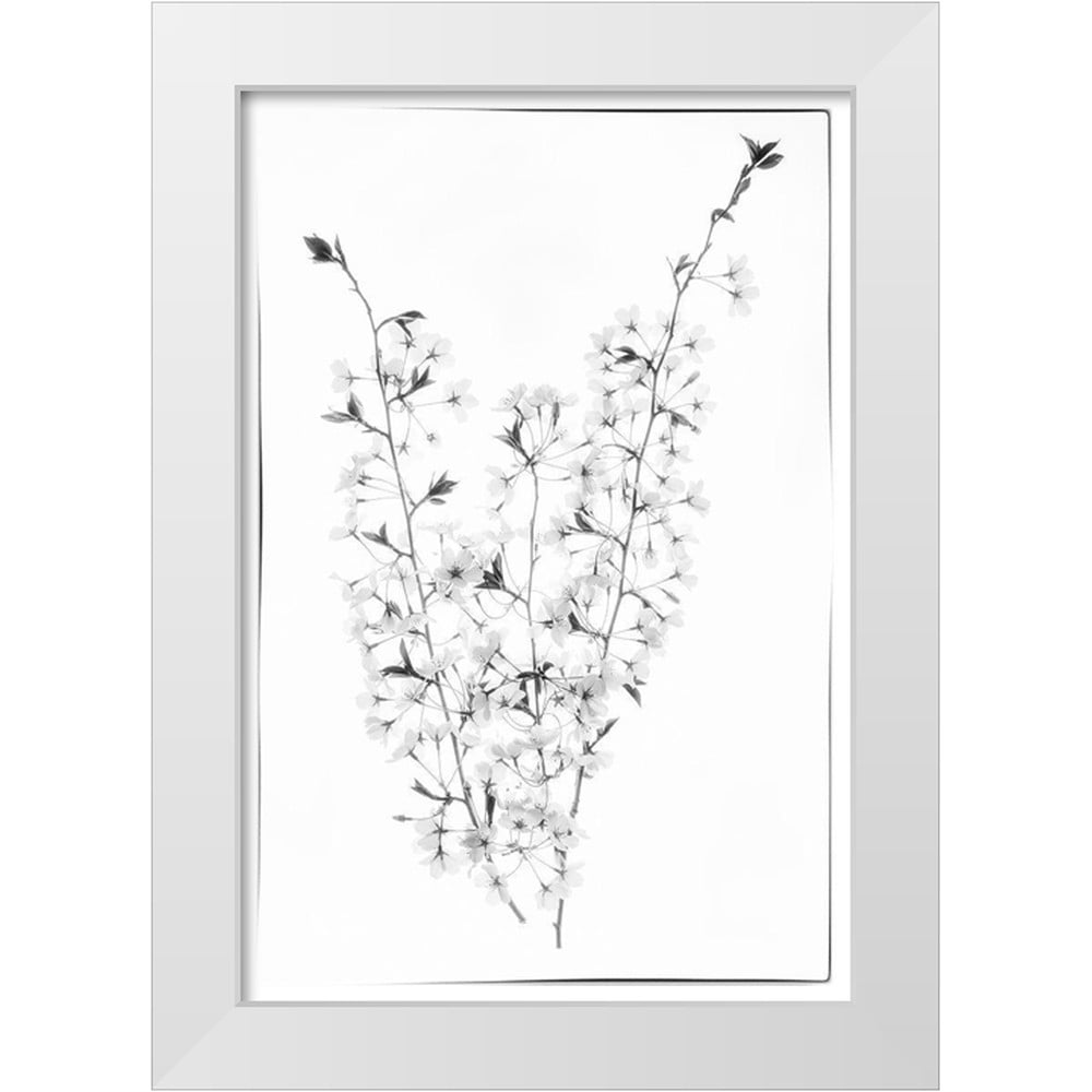 Looney, Hollice 17x24 White Modern Wood Framed Museum Art Print Titled ...