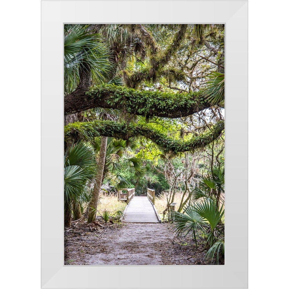 Looney, Hollice 17x24 White Modern Wood Framed Museum Art Print Titled ...