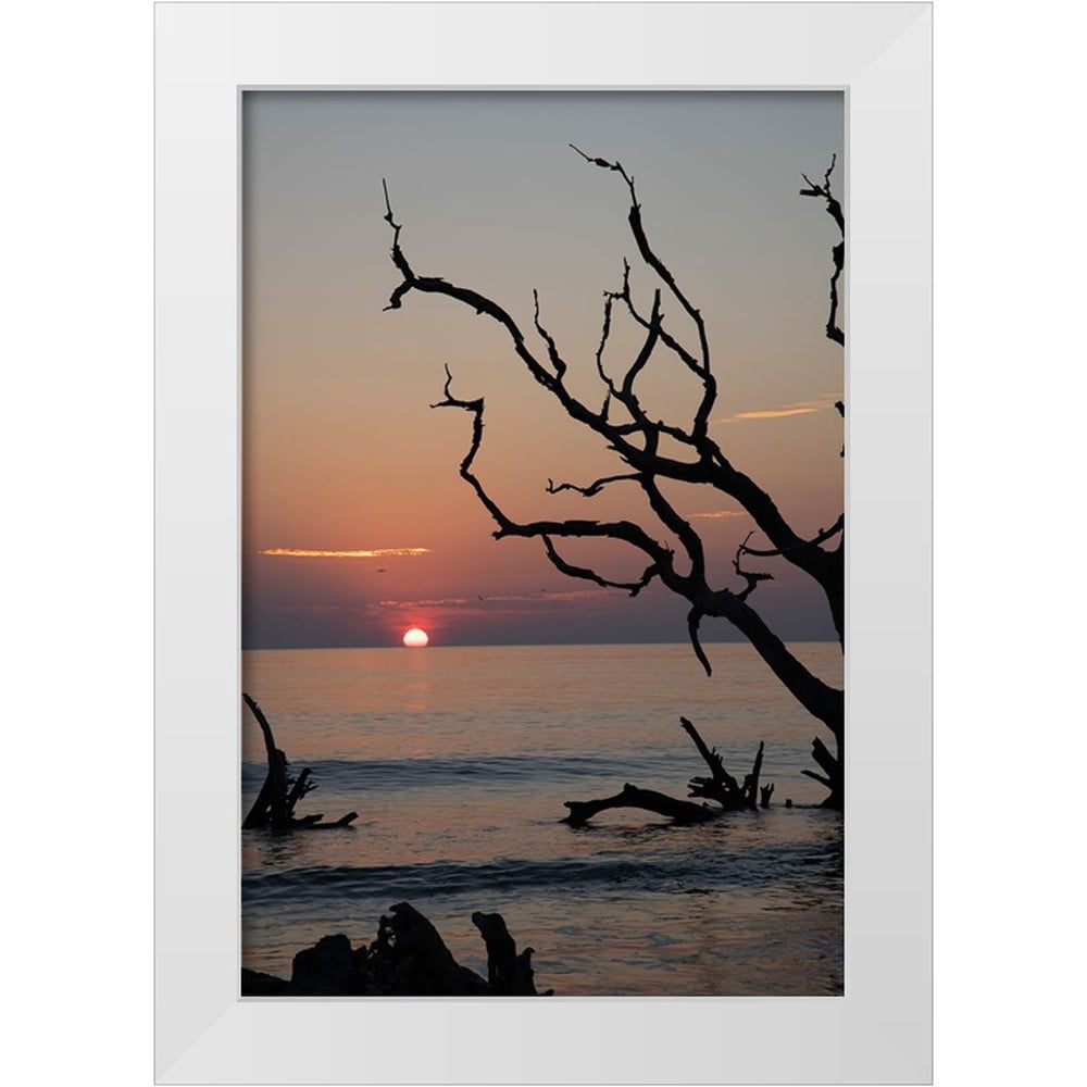 Looney, Hollice 17x24 White Modern Wood Framed Museum Art Print Titled ...