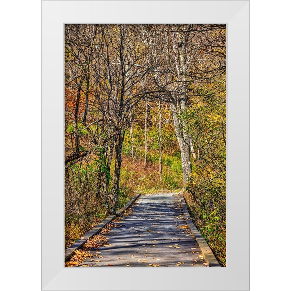 Looney, Hollice 17x24 White Modern Wood Framed Museum Art Print Titled ...