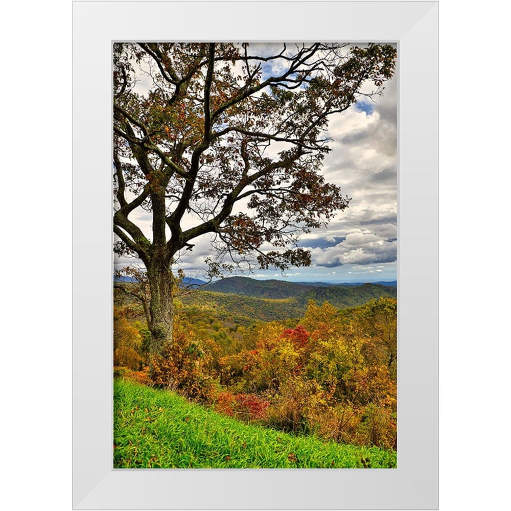Looney, Hollice 17x24 White Modern Wood Framed Museum Art Print Titled ...