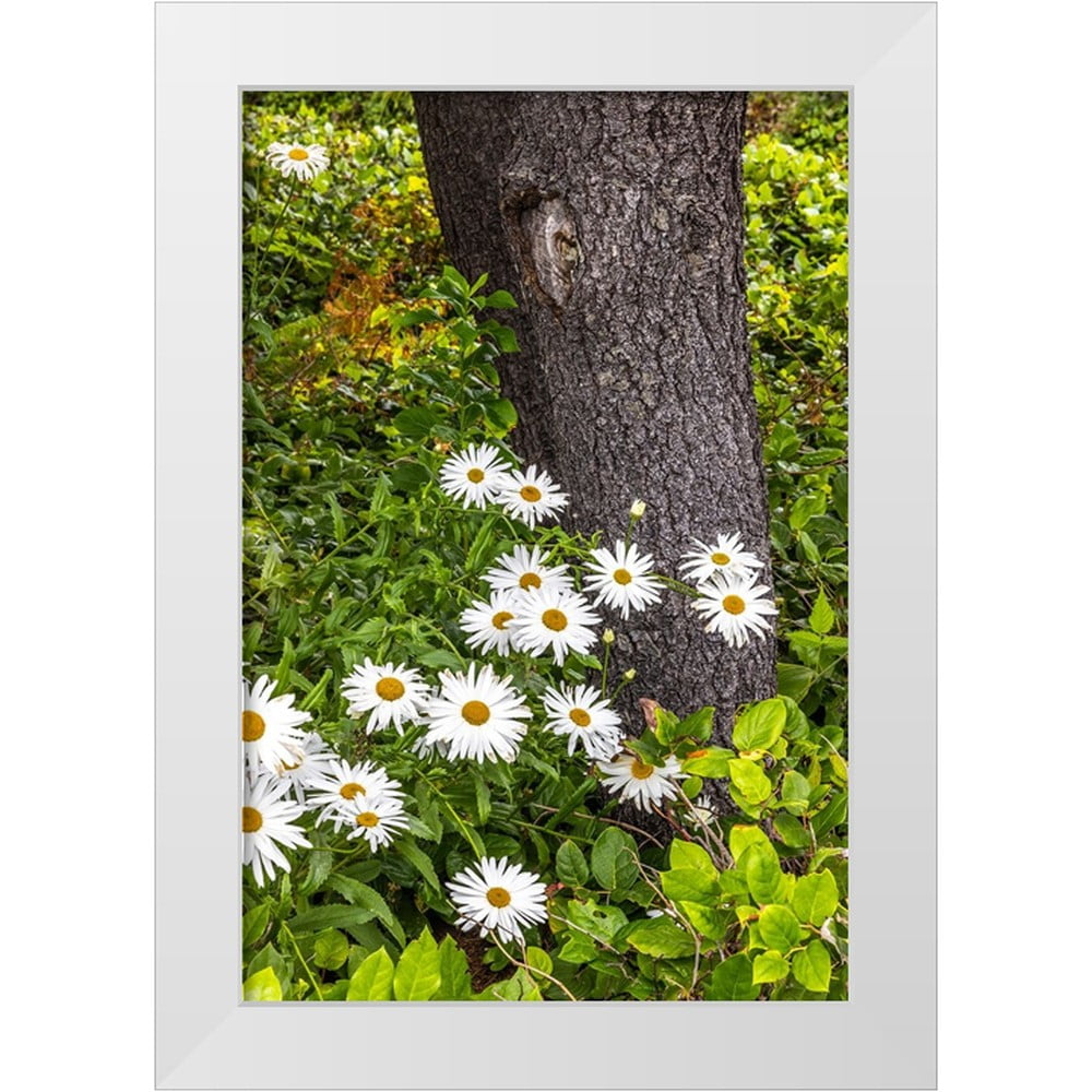 Looney, Hollice 17x24 White Modern Wood Framed Museum Art Print Titled ...