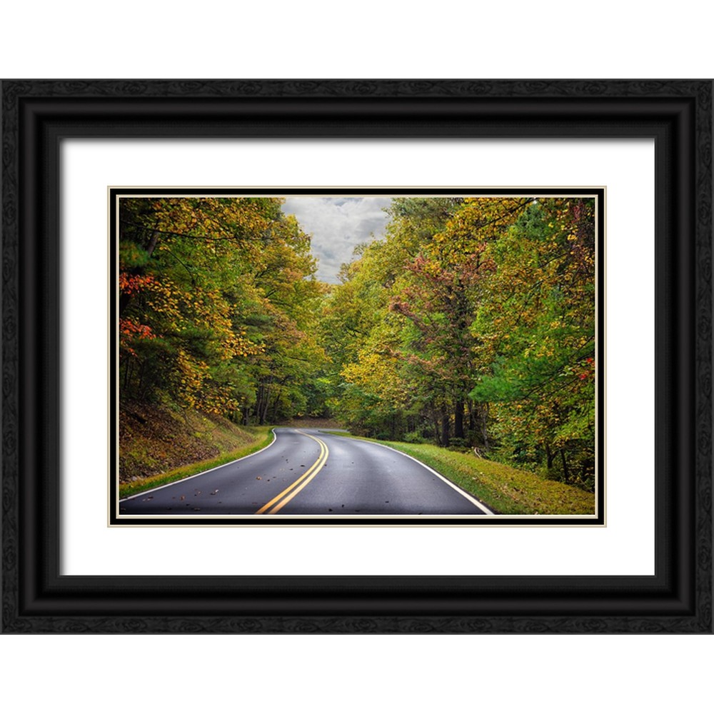 Looney, Hollice 18x13 Black Ornate Wood Framed with Double Matting ...