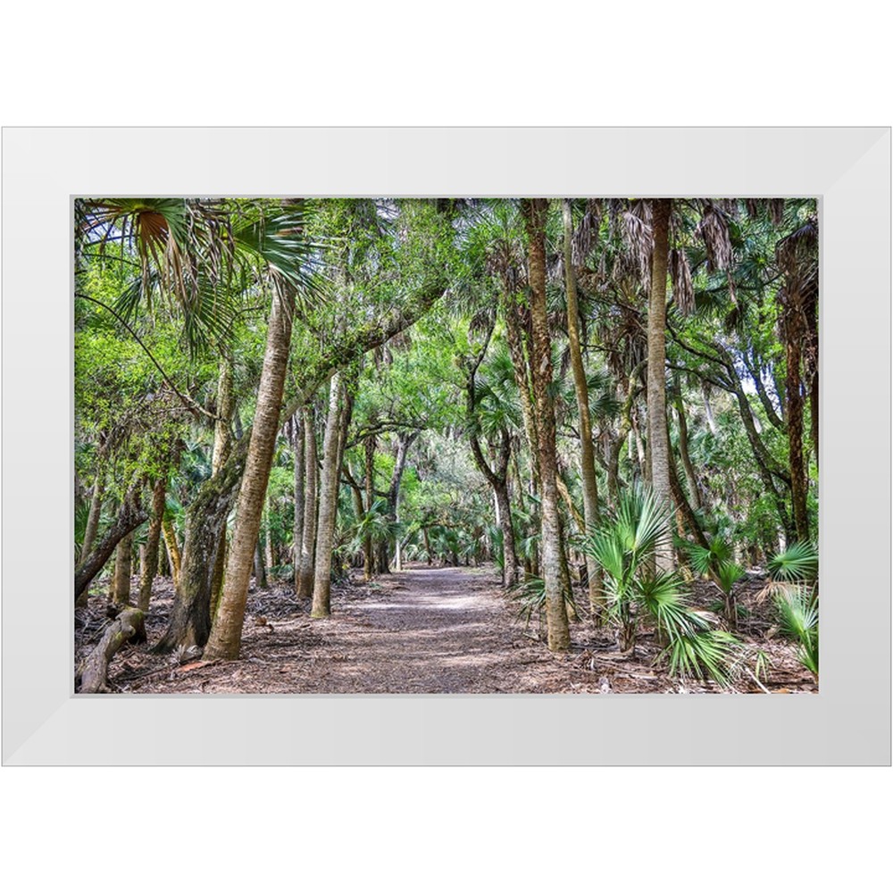 Looney, Hollice 18x13 White Modern Wood Framed Museum Art Print Titled ...