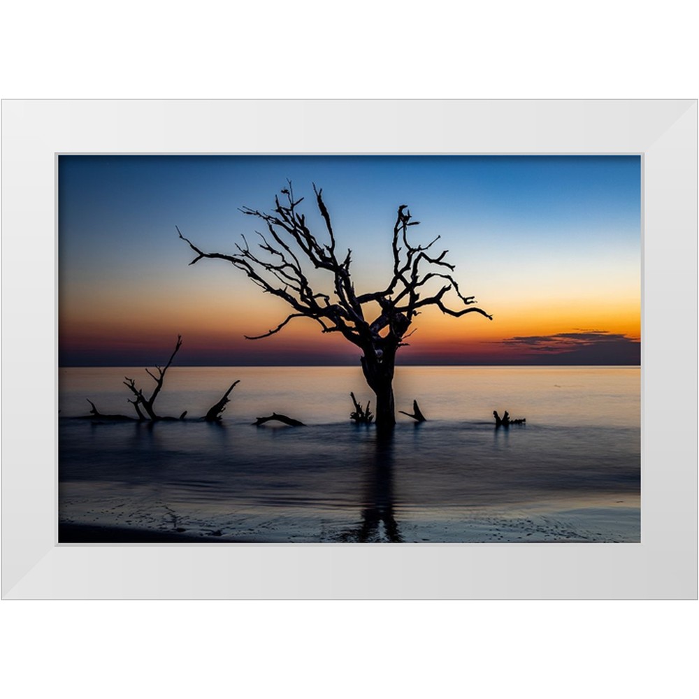 Looney, Hollice 18x13 White Modern Wood Framed Museum Art Print Titled ...