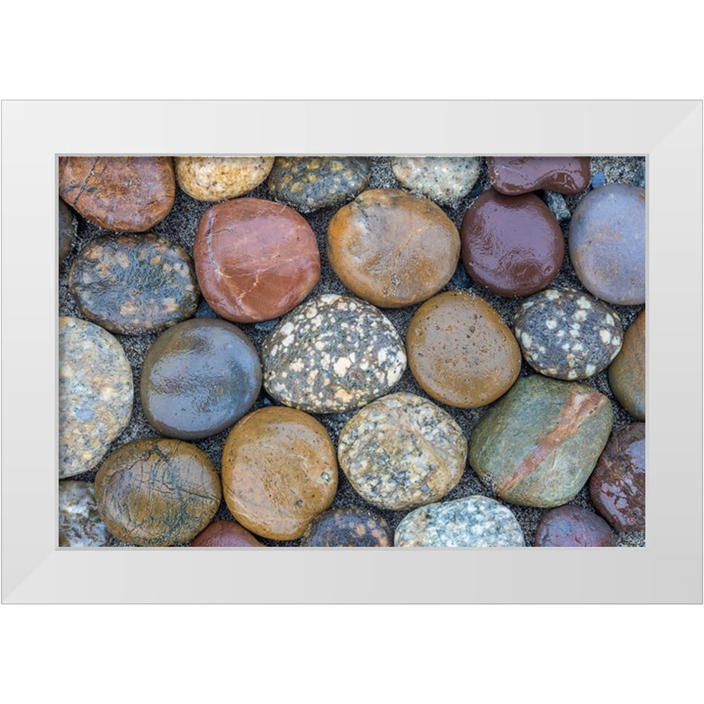 Looney, Hollice 18x13 White Modern Wood Framed Museum Art Print Titled ...