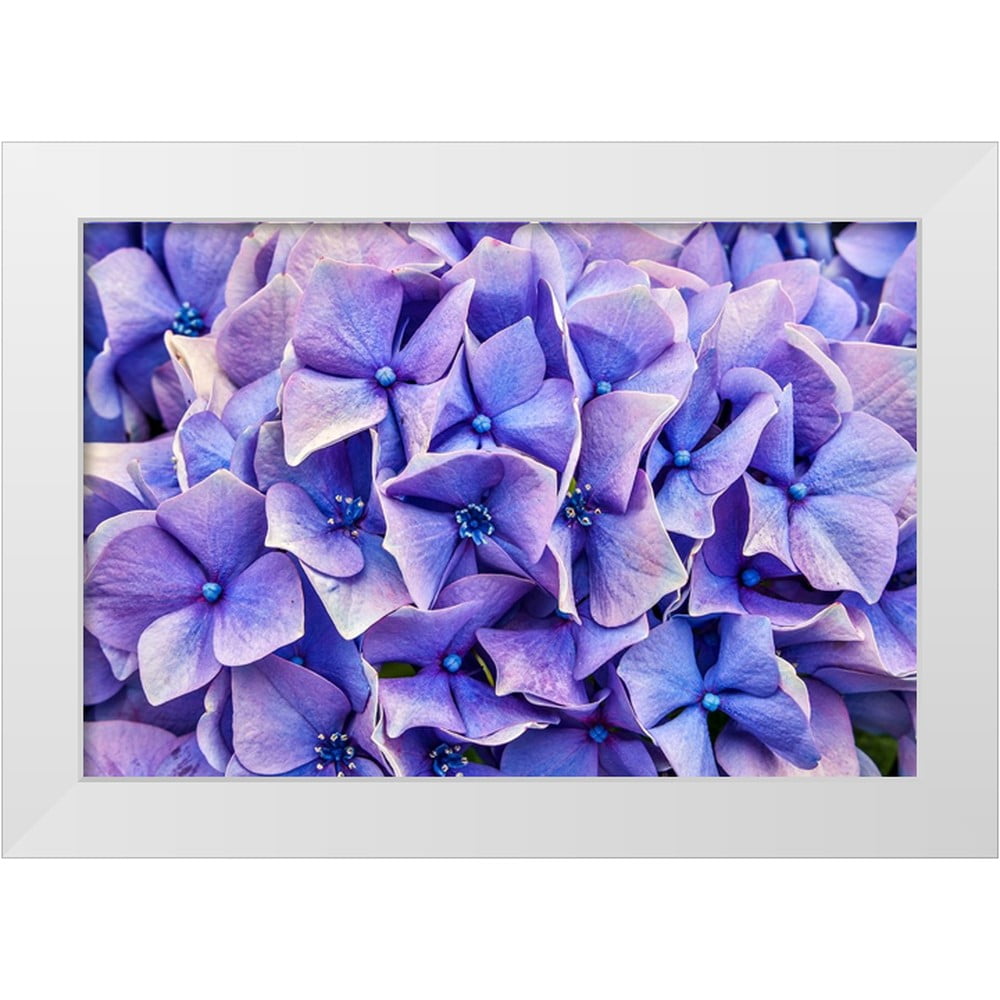 Looney, Hollice 18x13 White Modern Wood Framed Museum Art Print Titled ...