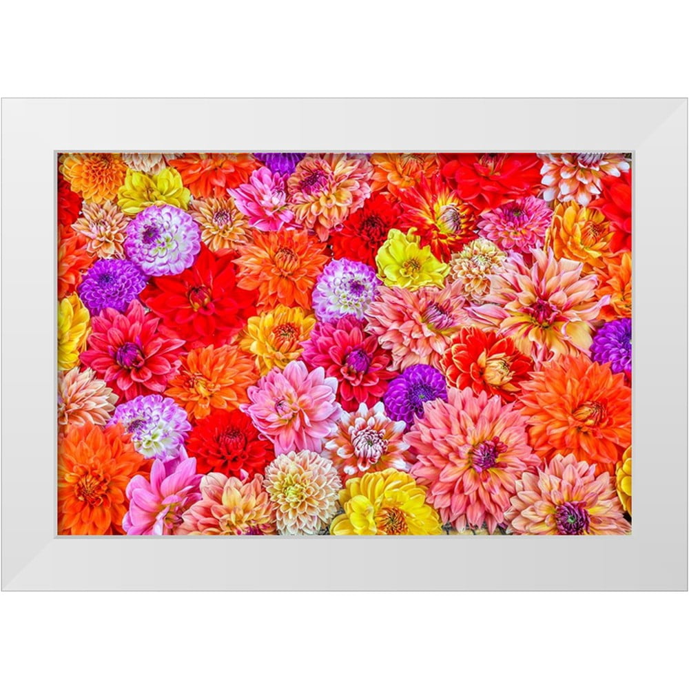 Looney, Hollice 18x13 White Modern Wood Framed Museum Art Print Titled ...