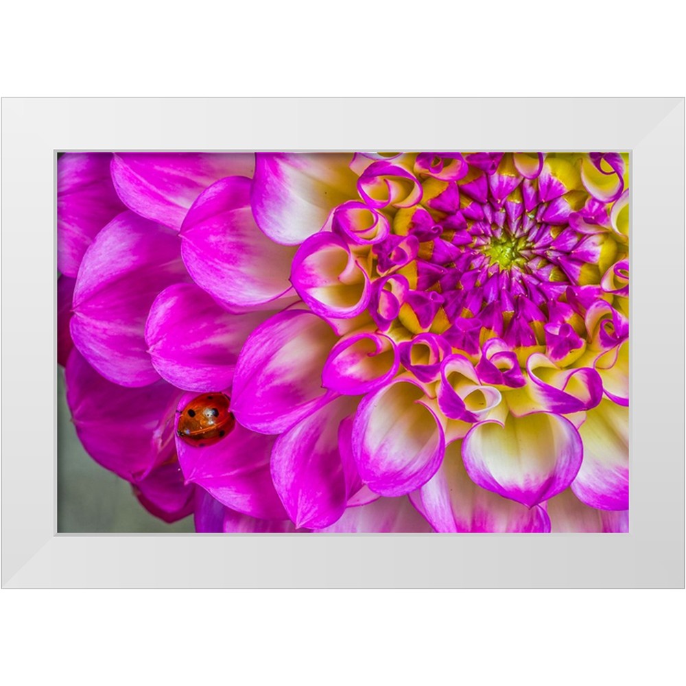 Looney, Hollice 18x13 White Modern Wood Framed Museum Art Print Titled ...