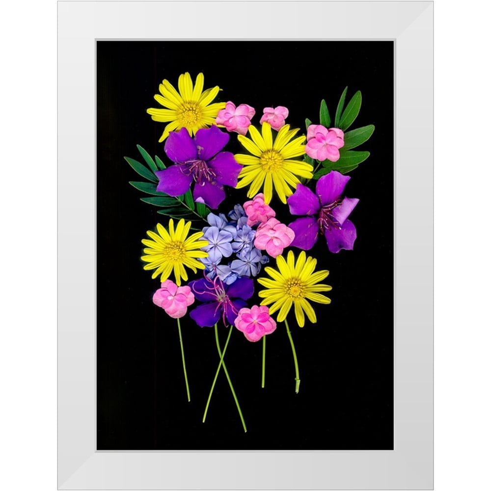 Looney, Hollice 19x24 White Modern Wood Framed Museum Art Print Titled ...