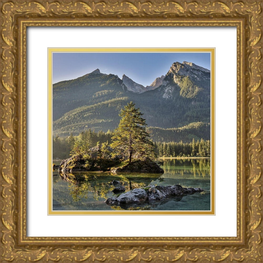Looney, Hollice 20x20 Gold Ornate Wood Framed with Double Matting ...