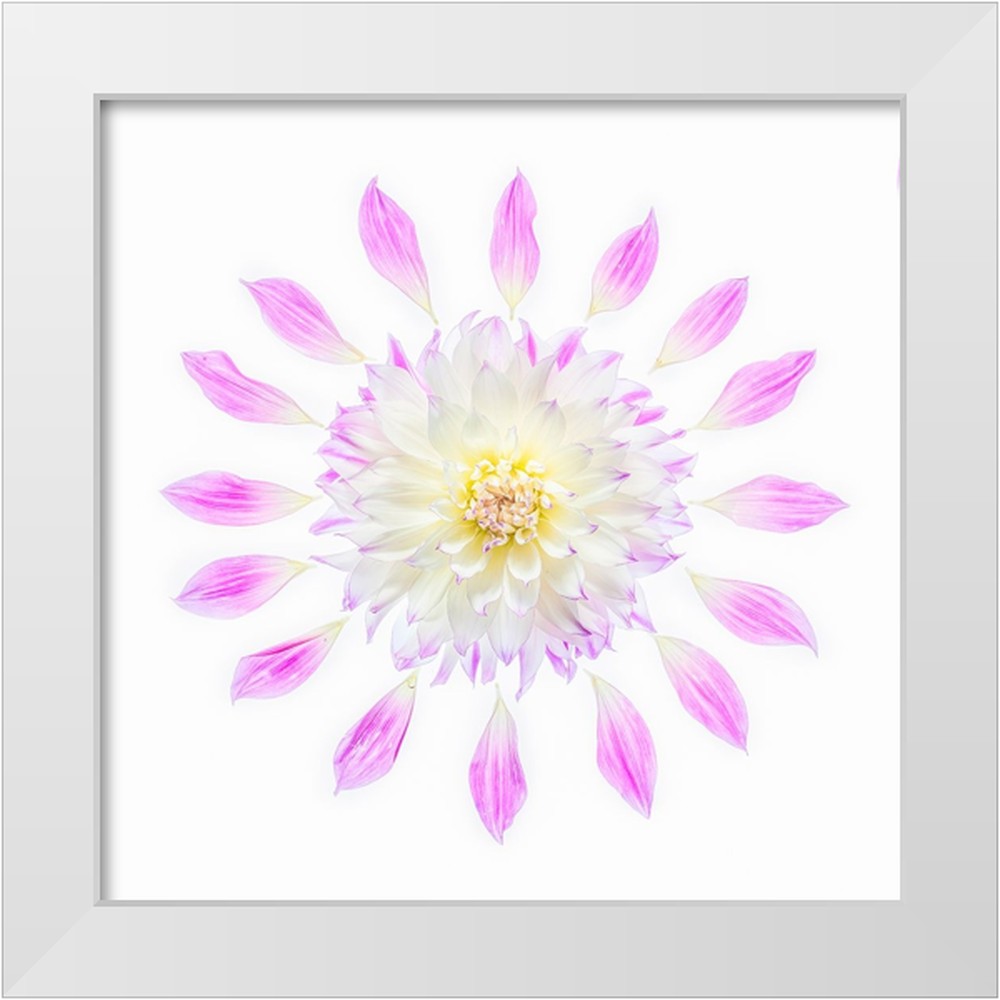 Looney, Hollice 20x20 White Modern Wood Framed Museum Art Print Titled ...