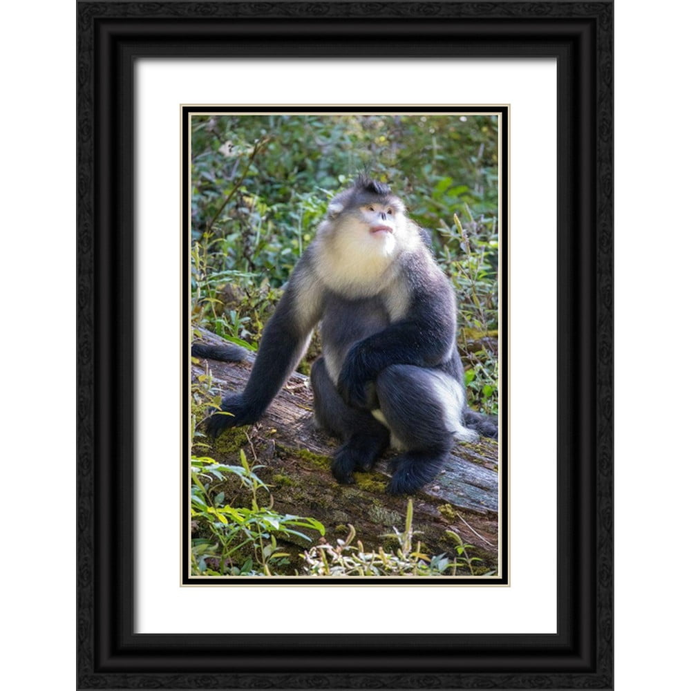 Looney, Hollice 23x32 Black Ornate Wood Framed with Double Matting ...